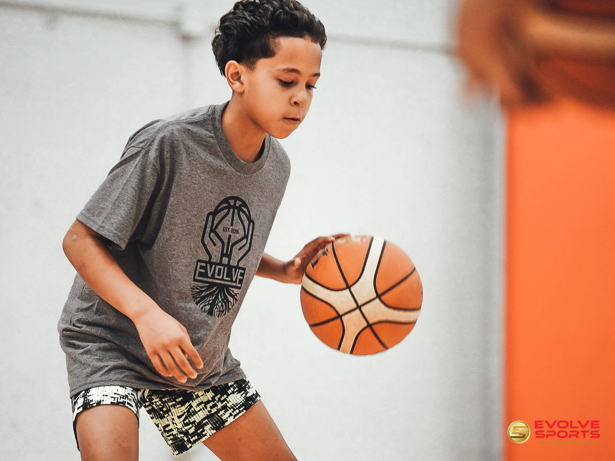 Development League - EVOLUTION SPORTS COMPLEX